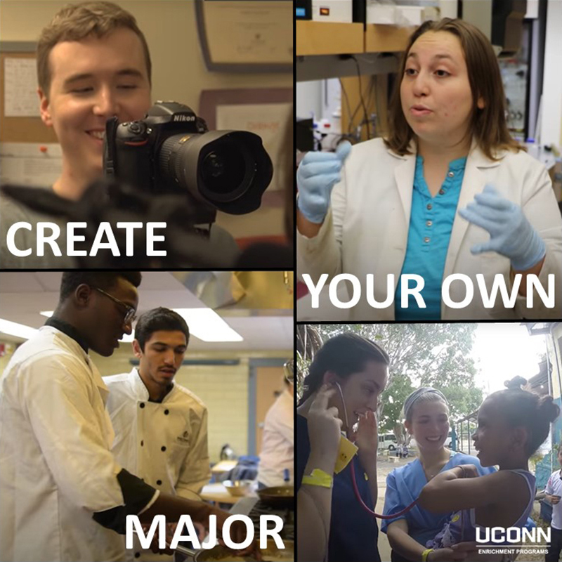 Individualized and Interdisciplinary Studies | Individualized ...